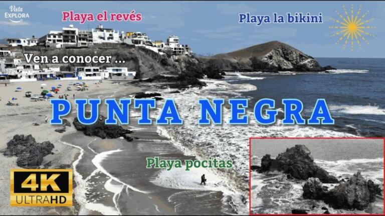 Los mejores SUNARP en Punta Negra